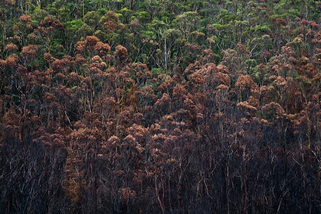 Carbon4 Finance Platform